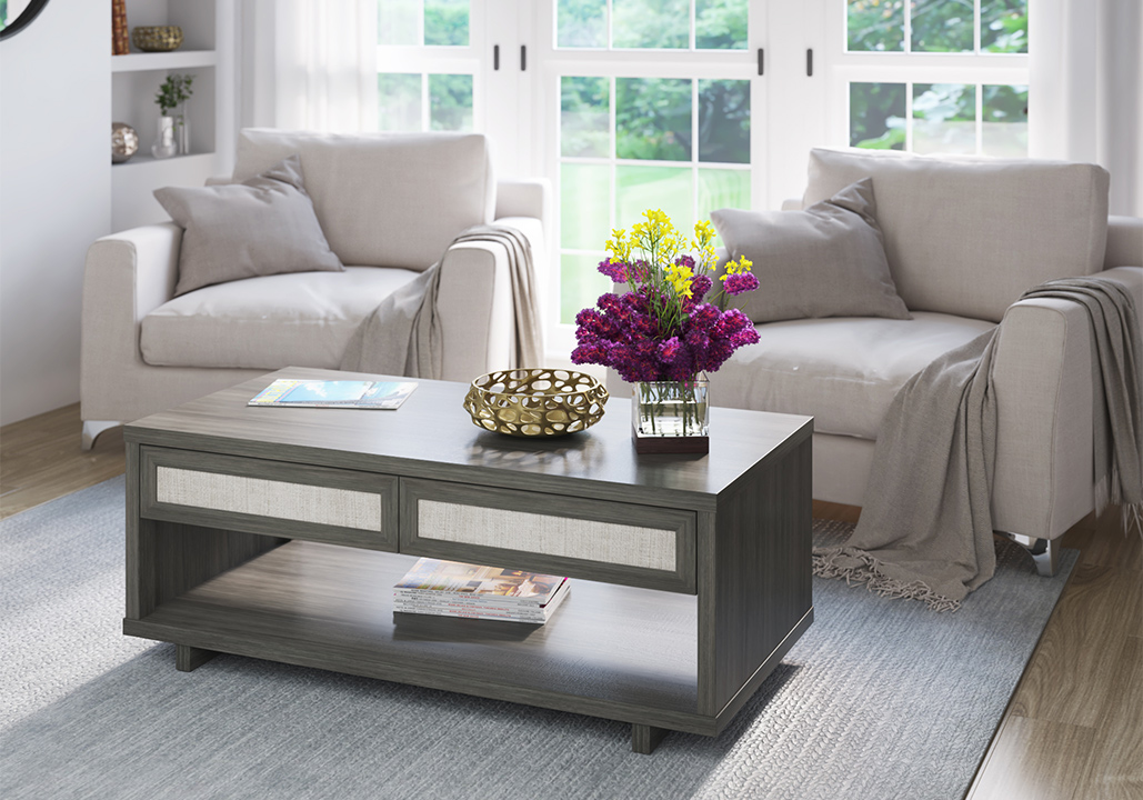 Living Room Essentials for Any Space Twinstar Home